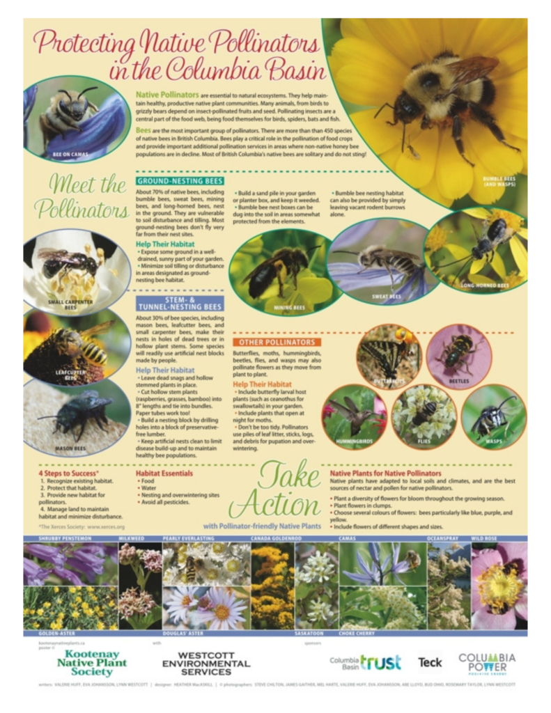 Newsletters - Kootenay Native Plant Society